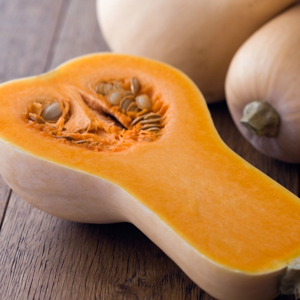 Recipe for homemade dog food for a 5kg neutered senior dog